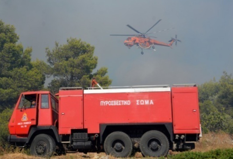 ΣΑΛΑΜΙΝΑ ΕΙΔΗΣΕΙΣ